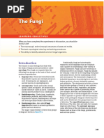 Fungi Observation in Bread and Fruit | PDF | Fungus | Staining