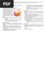 Anatomia e Fisiologia do Pâncreas | PDF | Pâncreas | Câncer