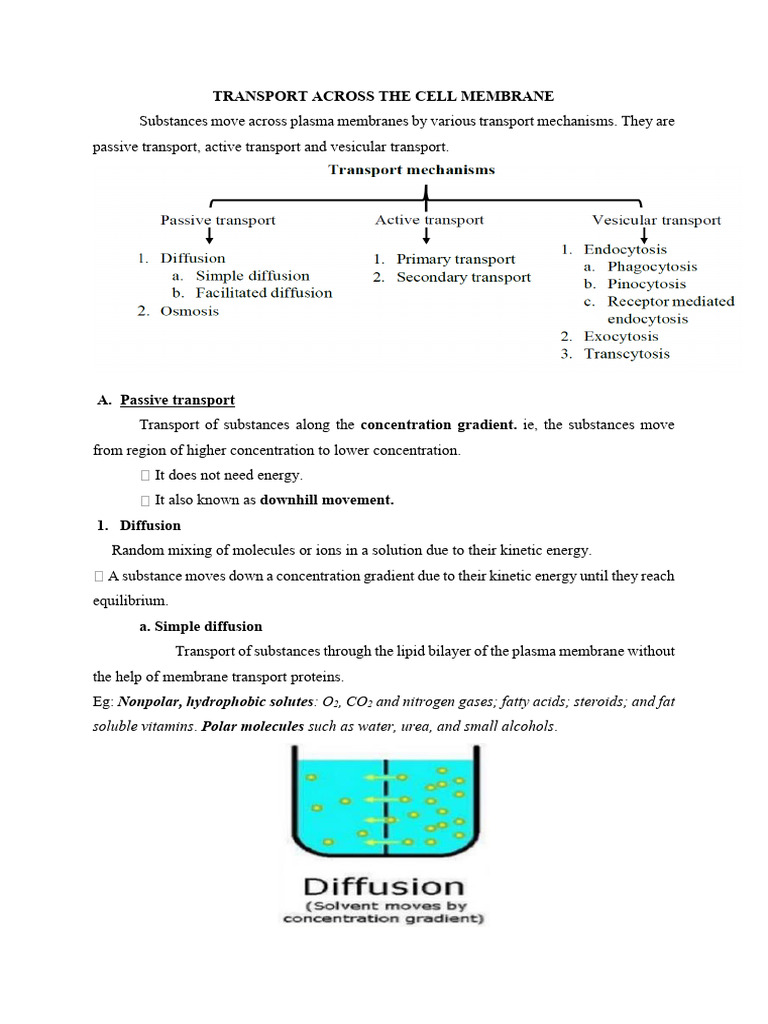 Transport Across The Cell Membrane | PDF | Cell Membrane | Biochemistry
