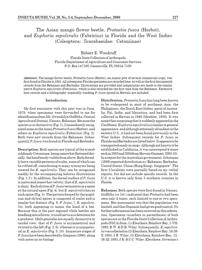 2006 - Woodroof - Protetia Fusca and Euphorbia | PDF | Bees | Botany 2006 - Woodroof - Protetia Fusca and Euphorbia | PDF | Bees | Botany