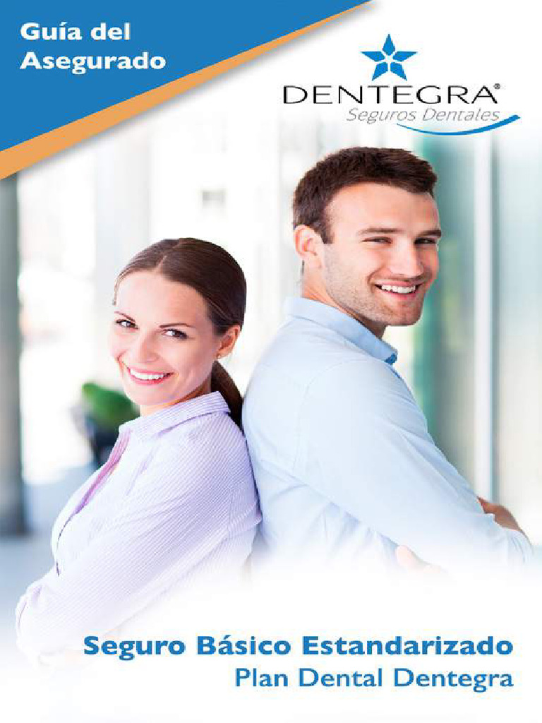 GUIA_BASICO_ESTANDARIZADO | PDF | Póliza de seguros | Seguro