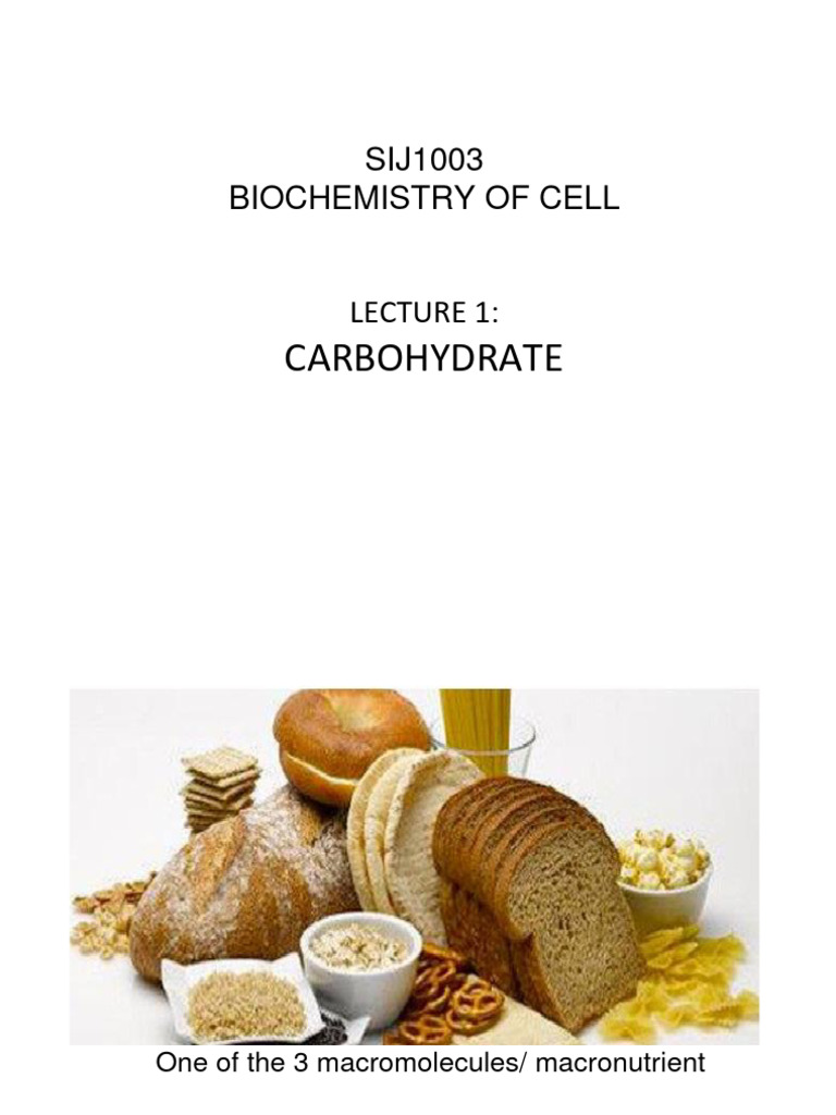Chapter 1 Biochem (Carbo) | PDF | Carbohydrates | Glucose