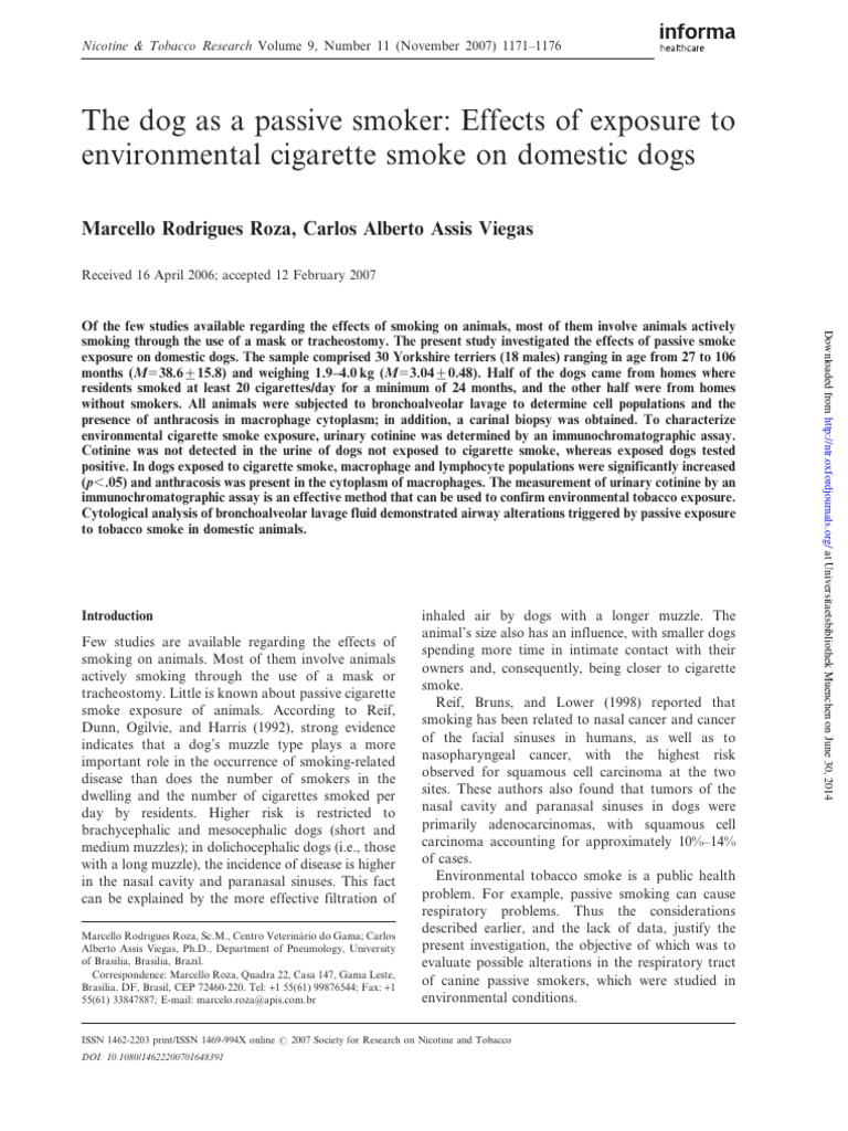 Effects of Passive Smoke on Dogs | PDF | Tobacco Smoking | Addiction