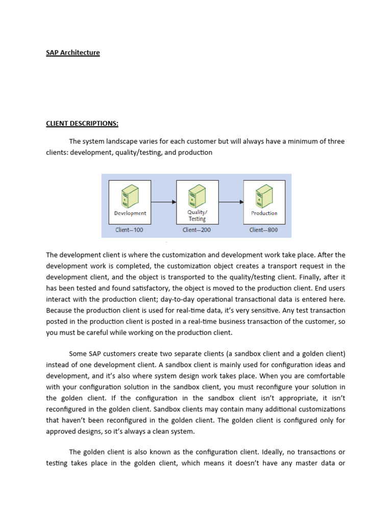 SAP Architecture | PDF | Information Technology | Computing