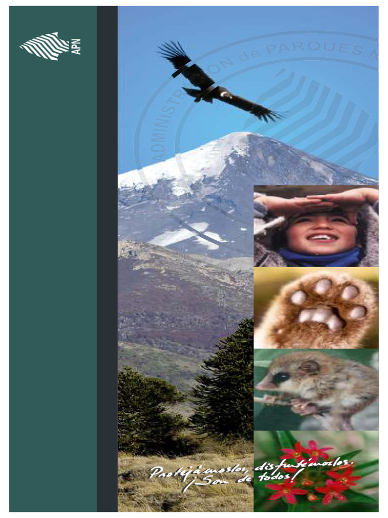 57 - Folleto General Del PNL 2 | PDF