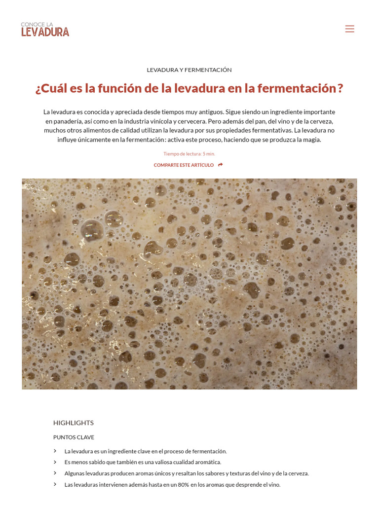 Función De La Levadura En Fermentación Pdf Cocina Comidas Y Vino