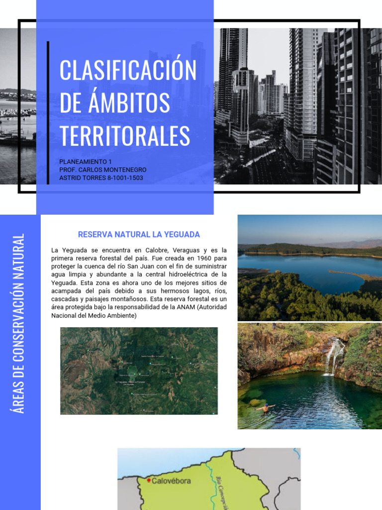 Parcial 1-Astrid Torres | PDF