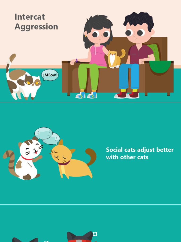 3 Intercat Aggression | PDF