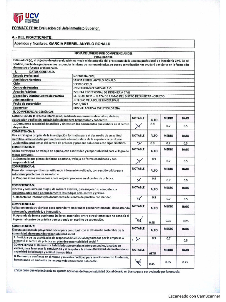 FS (Evaluación Del Jefe Inmediato Superior) | PDF