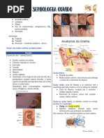 HINTS para Diagnóstico de Vertigem | PDF | Vertigem | Sistema vestibular