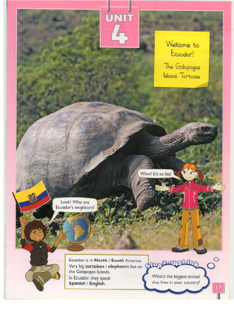 UNIDAD 4 - Next Stop 5 Students Book | PDF