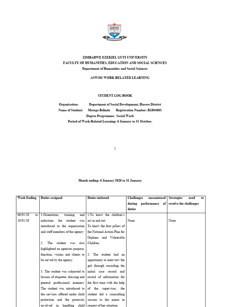 Social Work Student Log Book | PDF | Stepfamily | Family