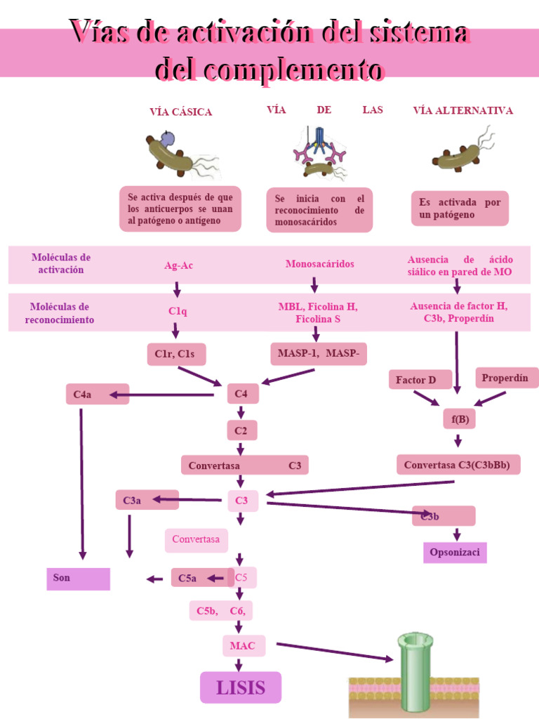 Vias de Complemento Mapa | PDF