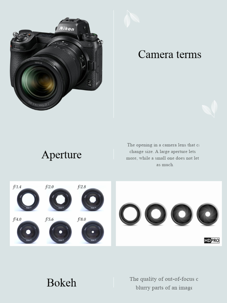Camera Terms | PDF