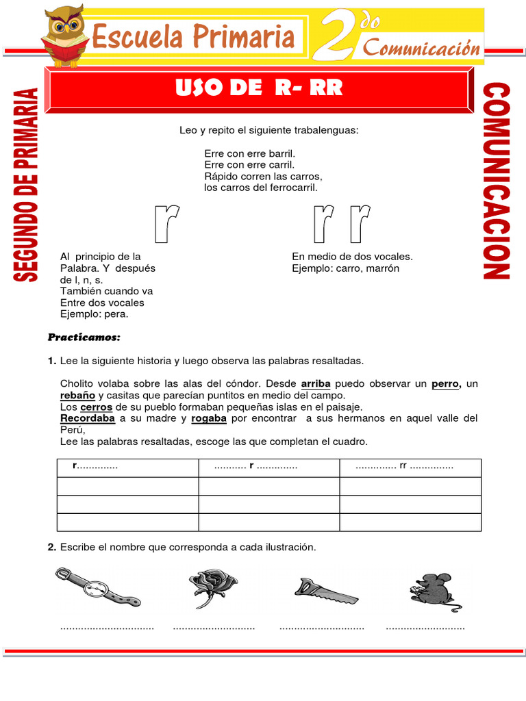 Uso de La R RR para Segundo de Primaria | PDF