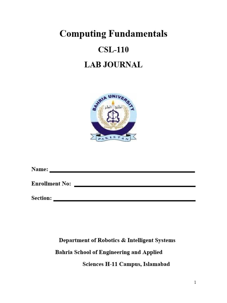 CF Lab Journal 2024 | PDF | Microsoft Excel | Microsoft Office