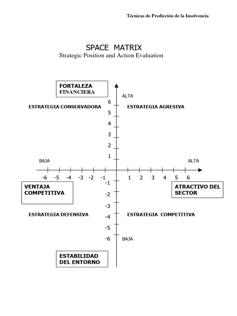 Matriz Space en Blanco + EXCEL | PDF