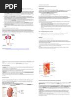 Endodermo, Tejidos y Conflictos | PDF | Digestión | Cáncer