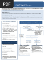 n29 O Trabalho de Parto Prematuro Uso Racional Da Tocolise | PDF ...
