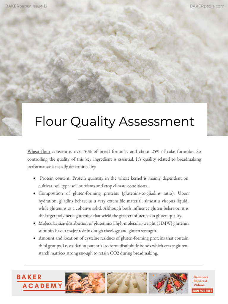 Flour Quality Assessment BAKERpaper | PDF | Flour | Breads