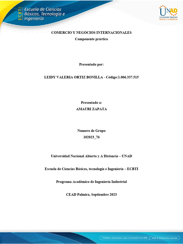 Aporte - Leidy Valeria Ortiz Bonilla | PDF | Mango | Business