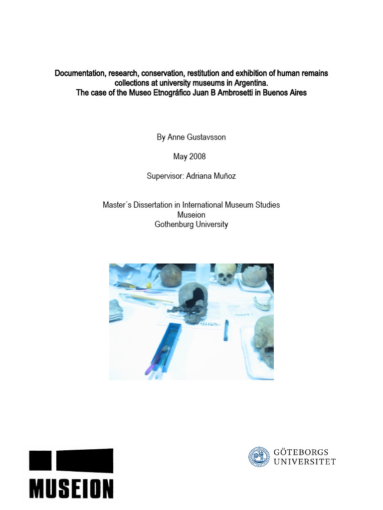 Anne Gustavsson Final Version | PDF | Museum | Race (Human Categorization)