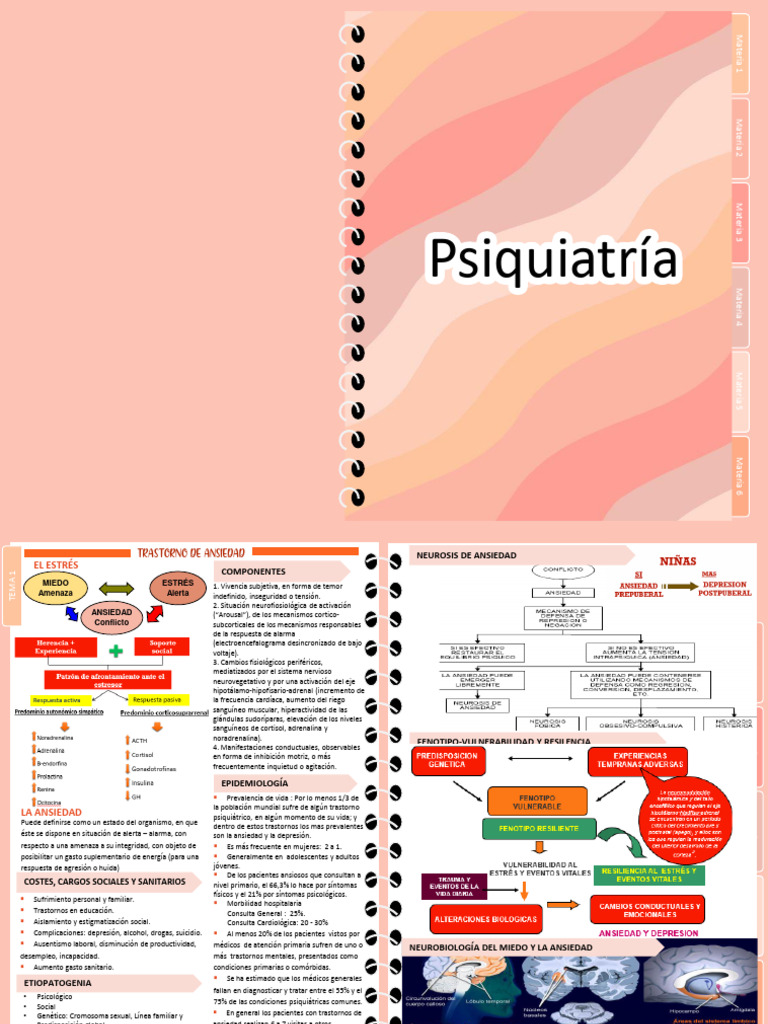 Cuaderno Psiquiatría Completo | PDF