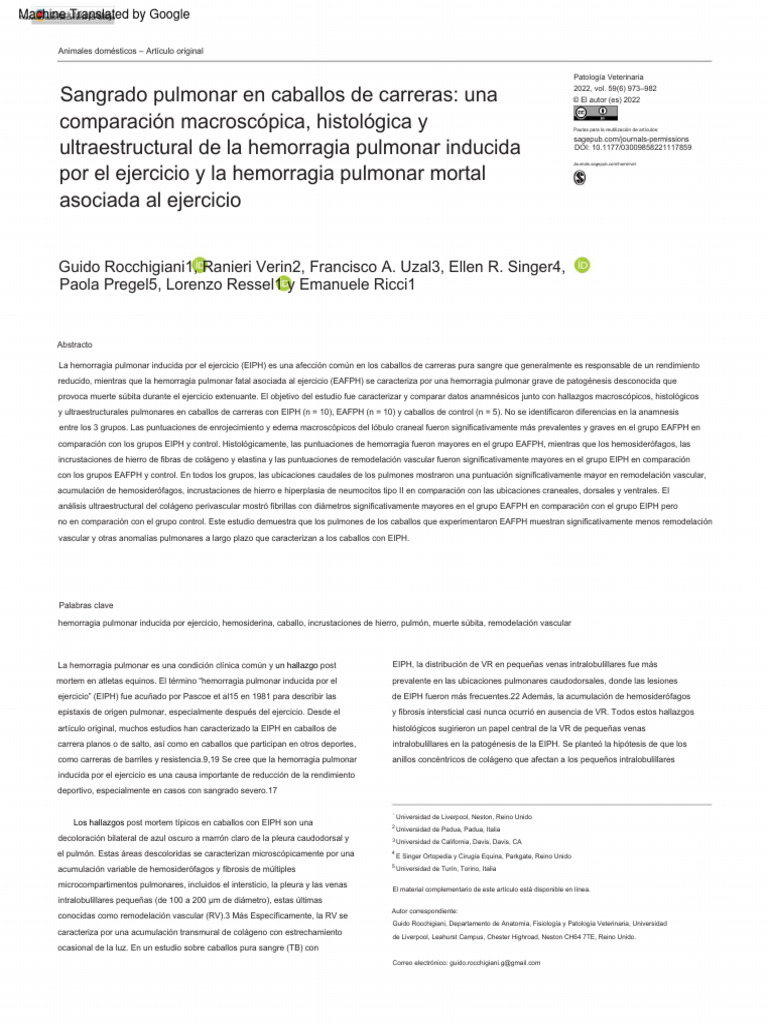 3 Pulmonary Bleeding in Racehorses A Gross, Histologic, and Ultrastructural Comparison of ...