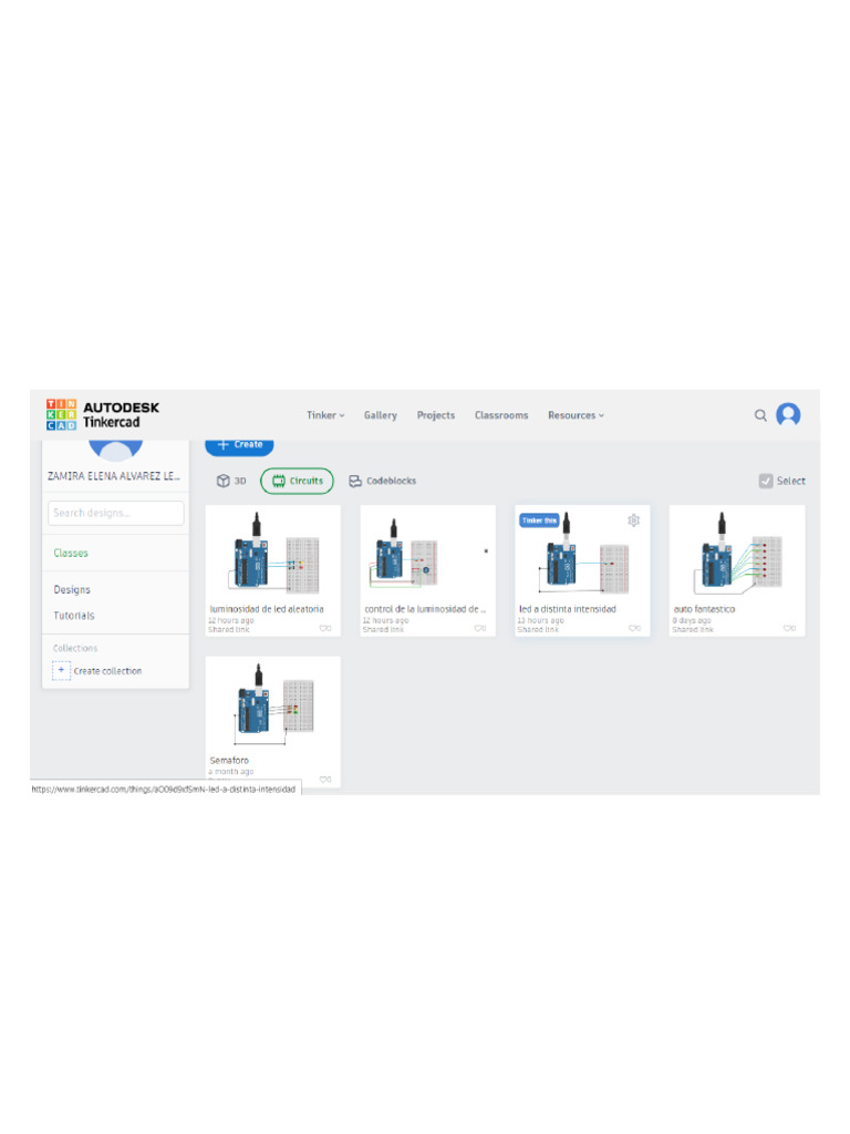 Zamira Alvarez Tinker Card | PDF