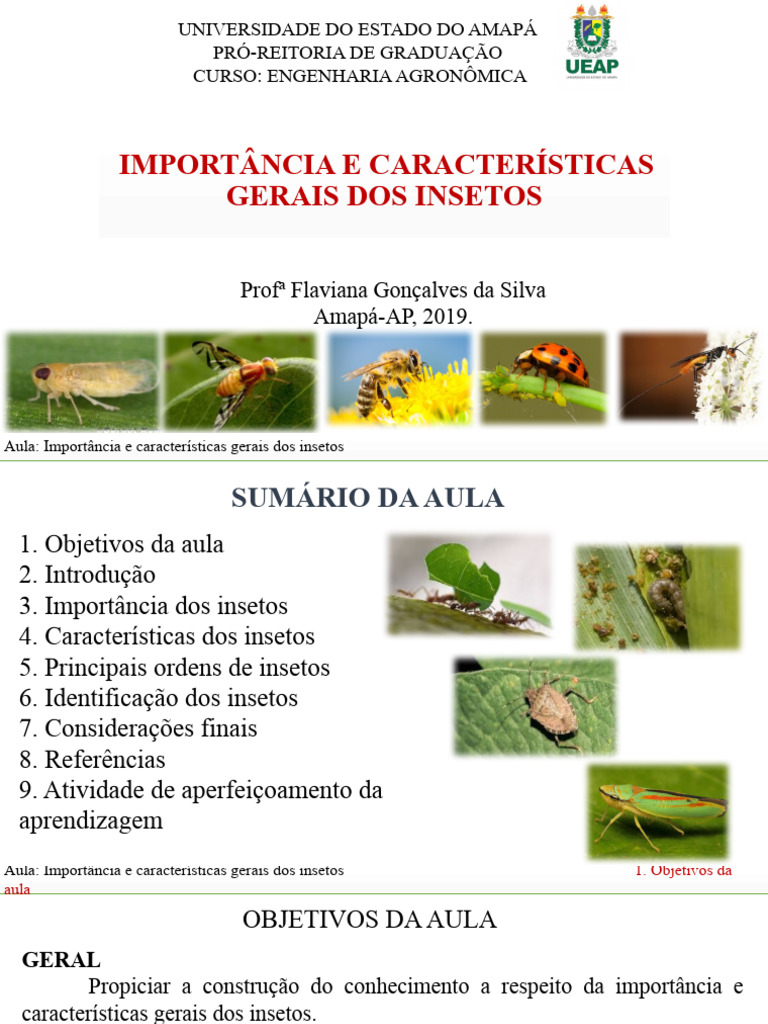 Aula 3 - Importância e Características Gerais Dos Insetos | PDF ...