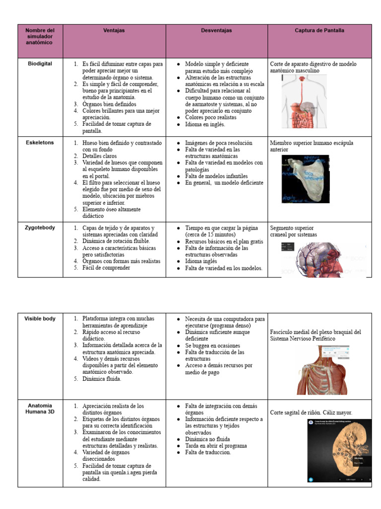 Modelos Anatómicos Humanos Digitales | Descargar gratis PDF | Anatomía ...