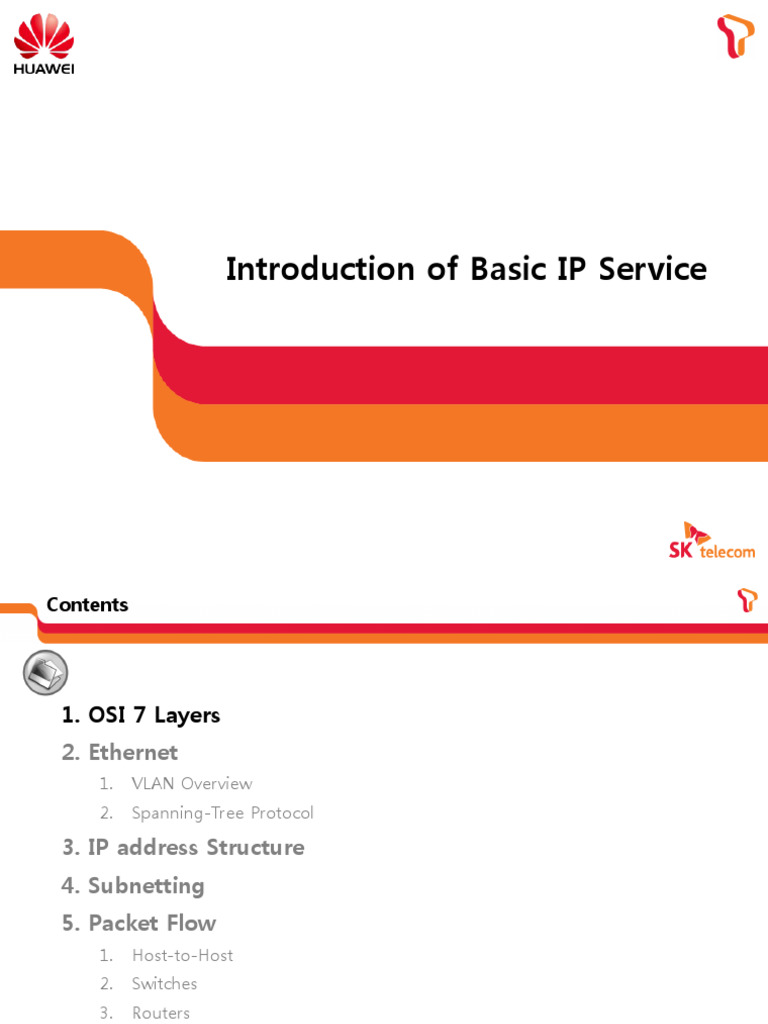 Introduction of Basic IP Services | PDF