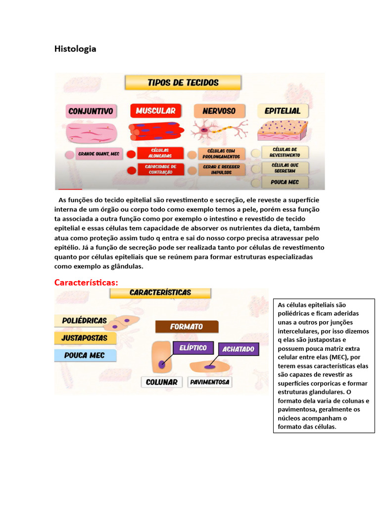 Resumo de Histo e Embrio | PDF | Epitélio | Tecido conjuntivo