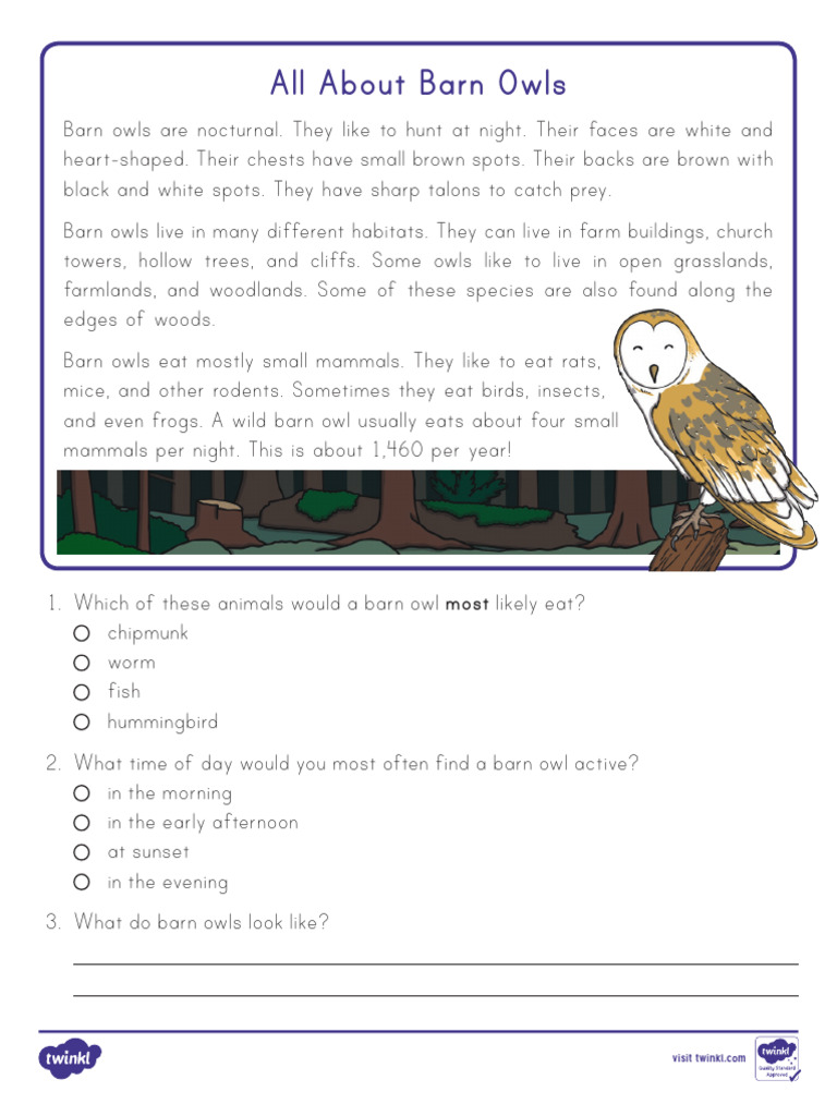 All About Barn Owls Reading Passage Comprehension Activity | PDF