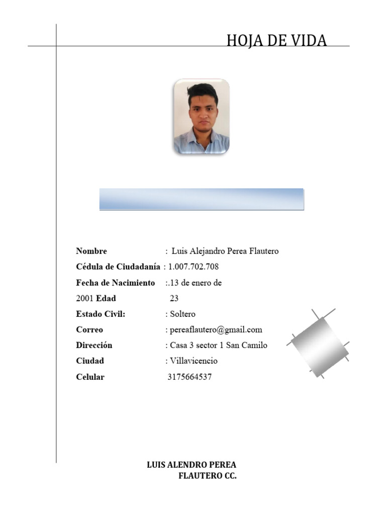 Hoja de Vida Luis | PDF