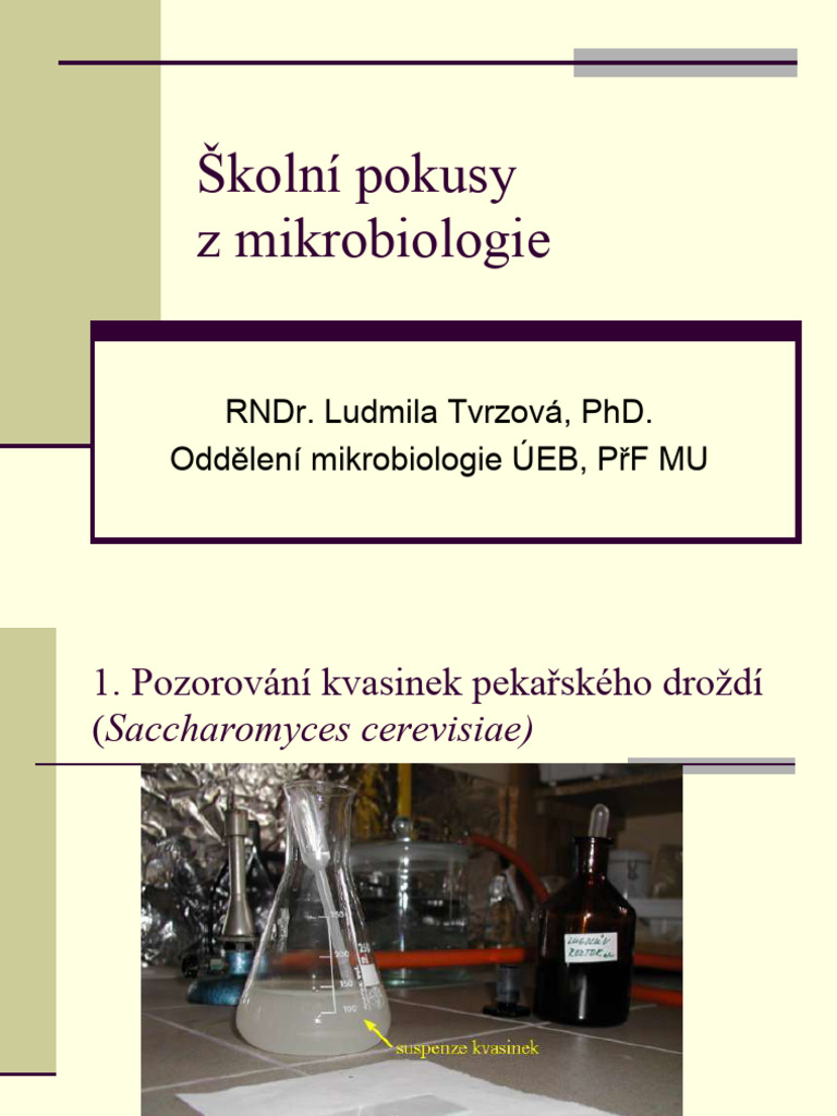 Školní Pokusy Z Mikrobiologie - Prezentace - Ludmila Tvrzová | PDF
