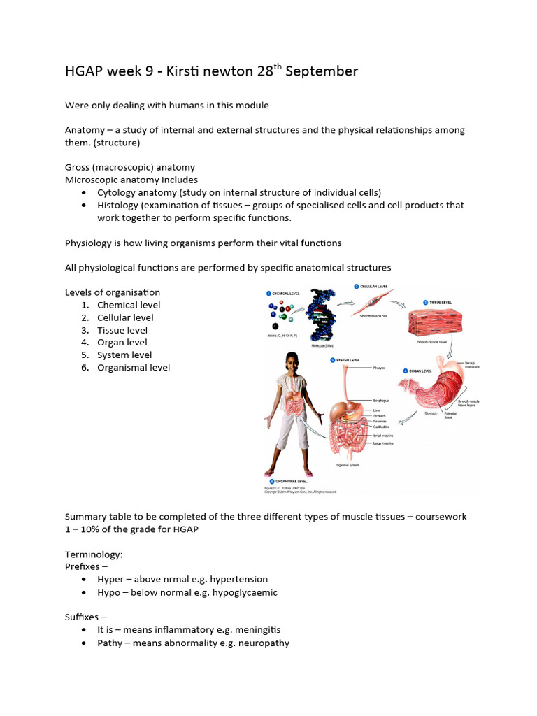 HGAP Week 9 | PDF | Anatomical Terms Of Location | Anatomy