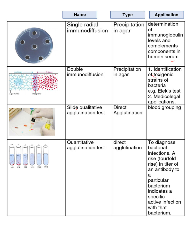 Immun Test | Download Free PDF | Antibody | Elisa