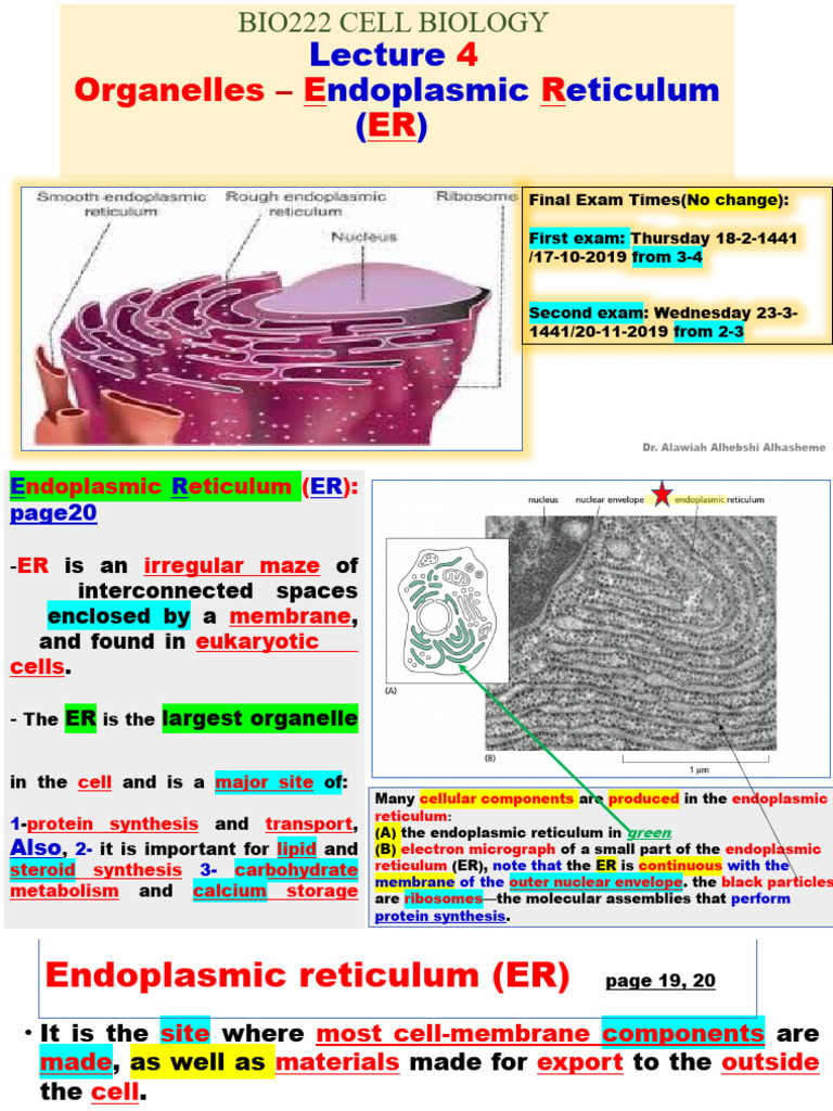 Lect - 4 Bio222 Final DR Alawiah2020 To Send | PDF | Science & Mathematics Lect - 4 Bio222 Final DR Alawiah2020 To Send | PDF | Science & Mathematics