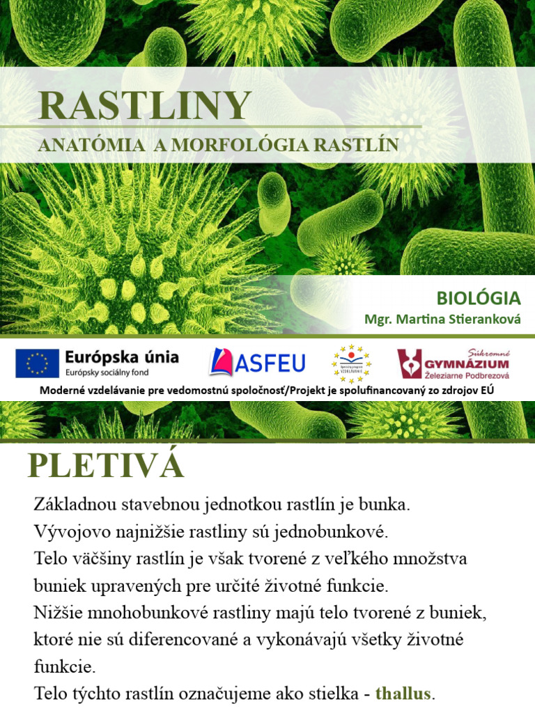 Anatómia A Morfológia Rastlín | PDF