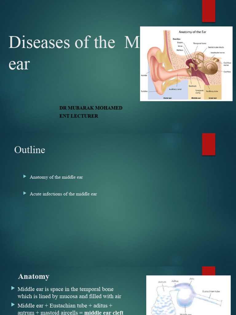 Middle Ear Diseases & Infections | PDF | Ear | Auditory System