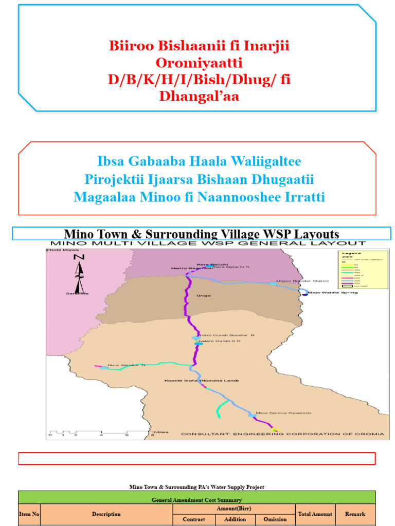 Ibsa Gabaaba Pirojektii Minoo | PDF
