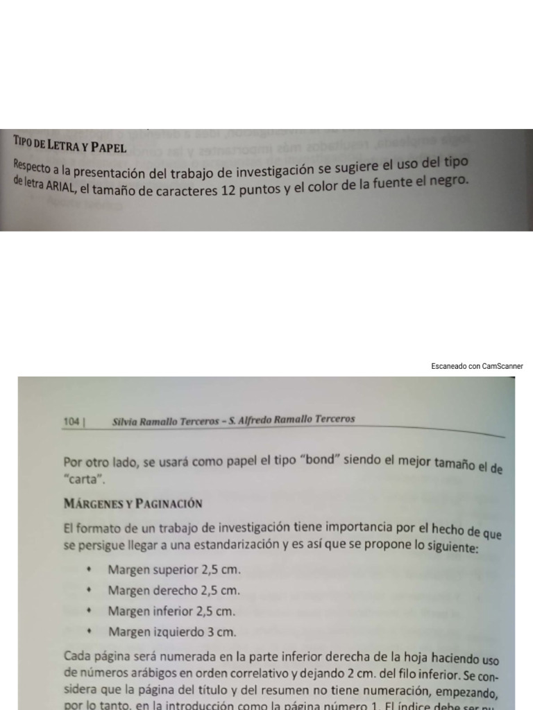 Formato Basico Del Trabajo de Investigación | PDF