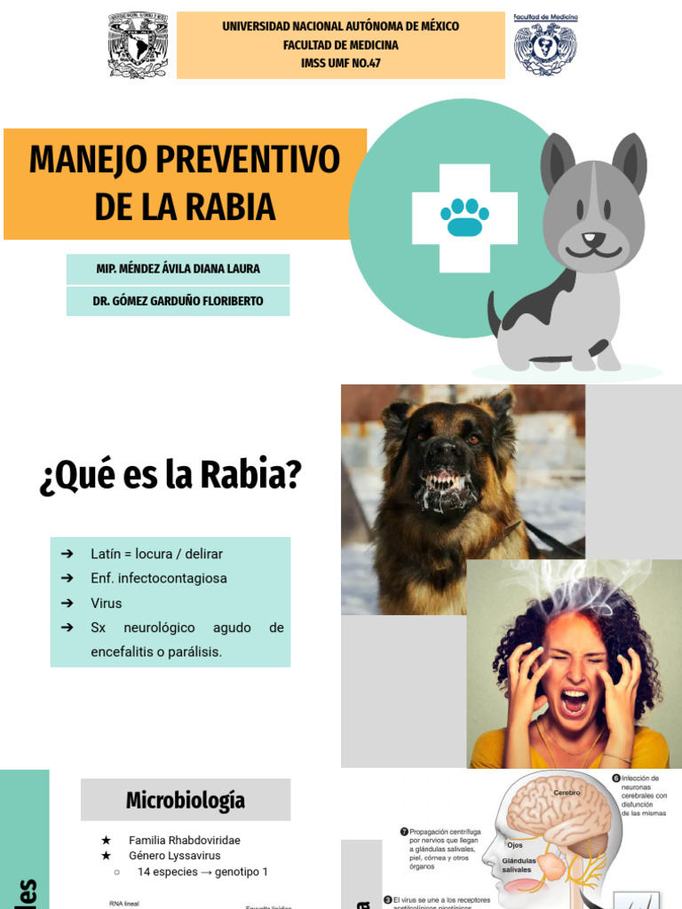 Expo 2 - Rabia | PDF | Rabia | Especialidades Medicas