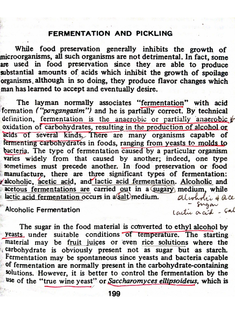 M4 Notes On Fermentation and Pickling | PDF