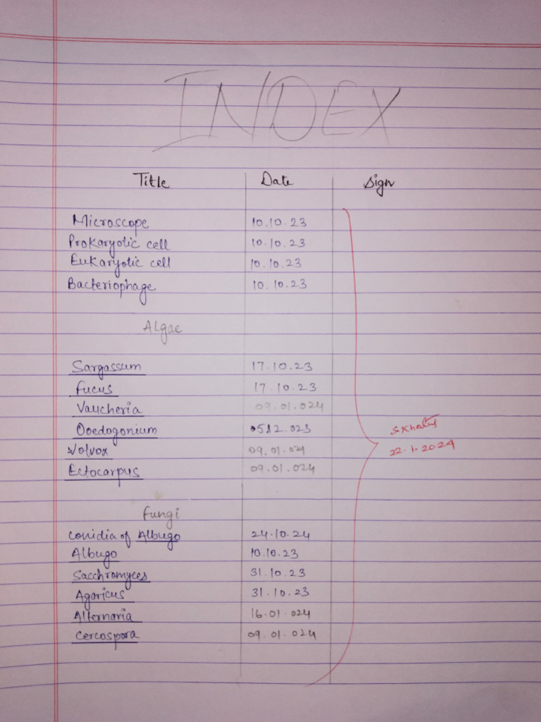 Botany Practical File 2 | PDF