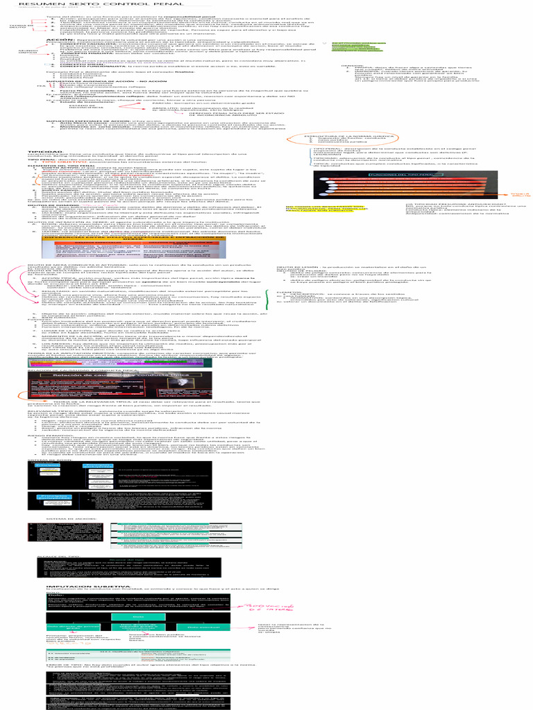 Resumen Sexto Control Penal | PDF