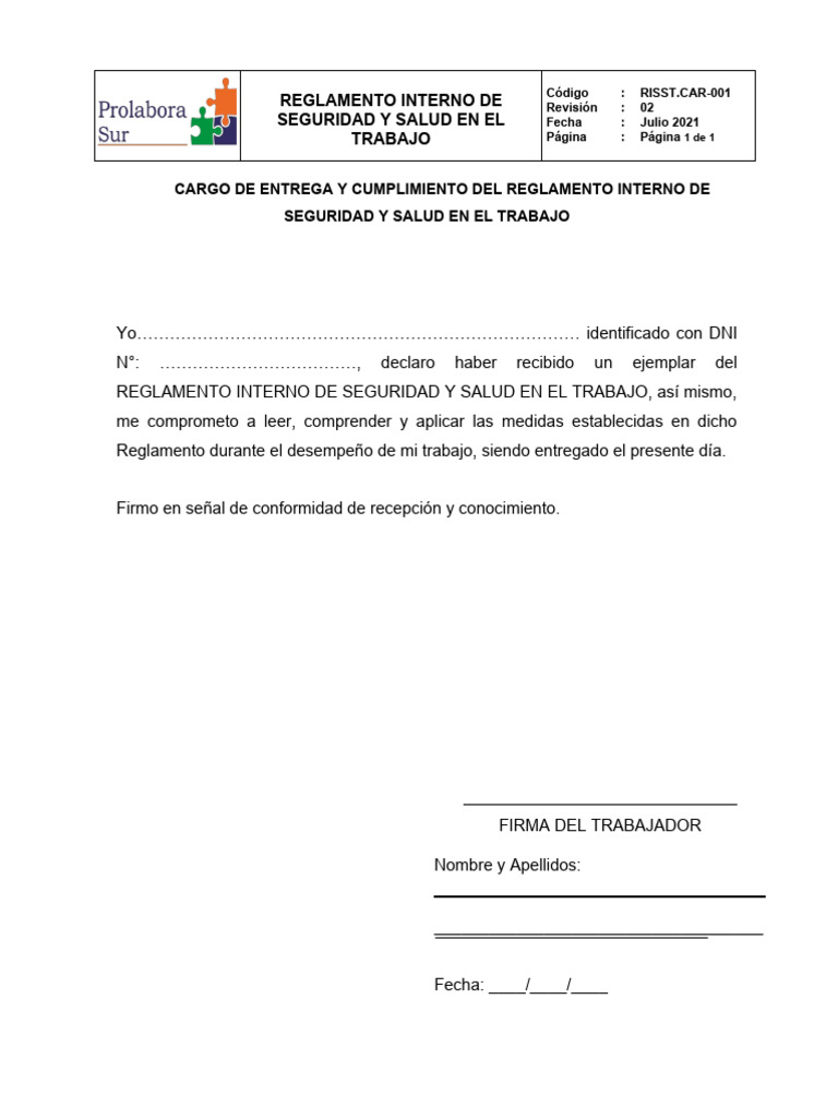 Cargo de Entrega y Cumplimiento Del Risst | PDF