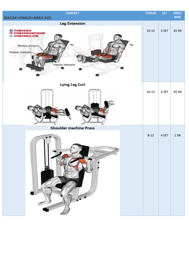 Antrenman Programı 2 BACAK+OMUZ+ARKA KOL | PDF
