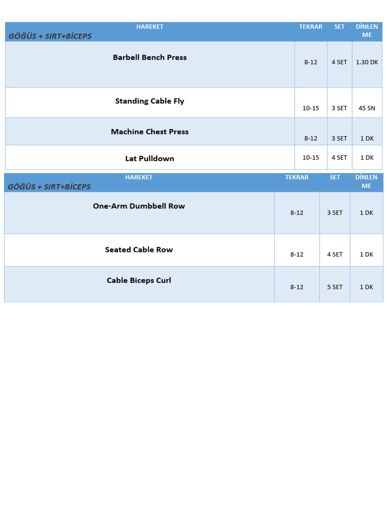 Antrenman Programı 2 GÖĞÜS + SIRT+BİCEPS | PDF